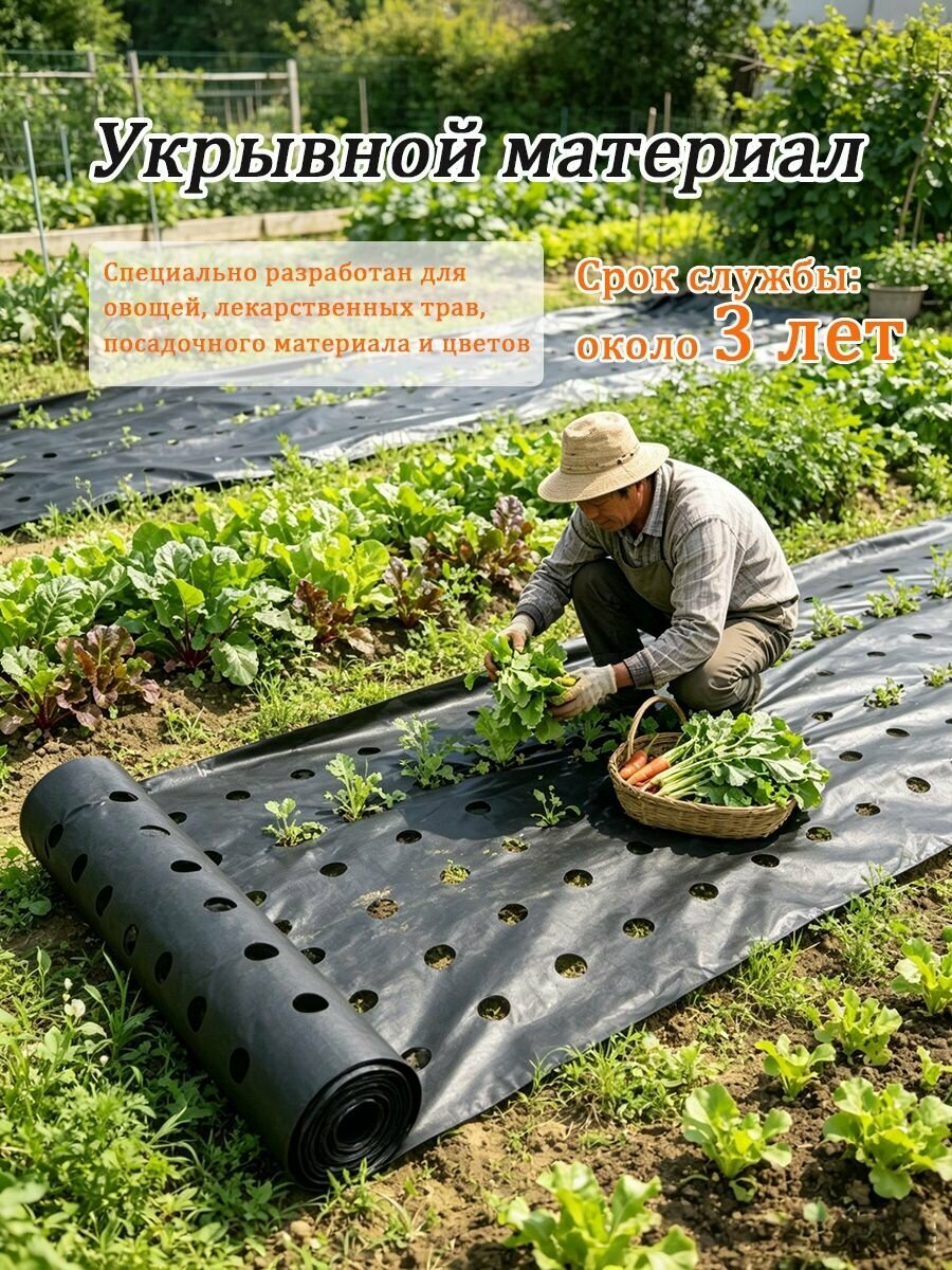 Агроткань от сорняков ASA пластик, 1x100.04 м