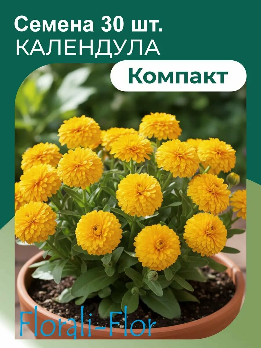 Календула Семена