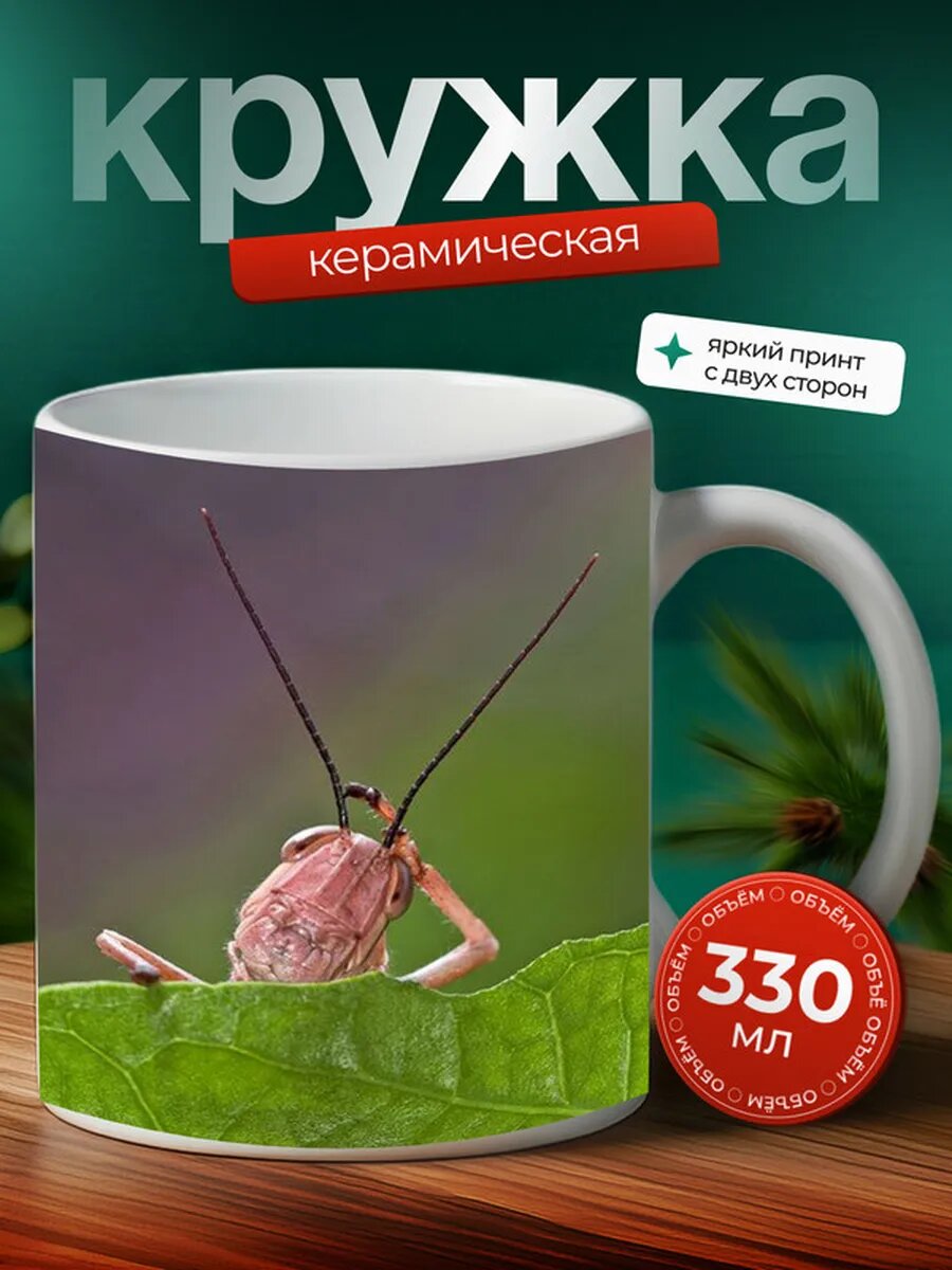 Кружка Кузнечик насекомое 15,