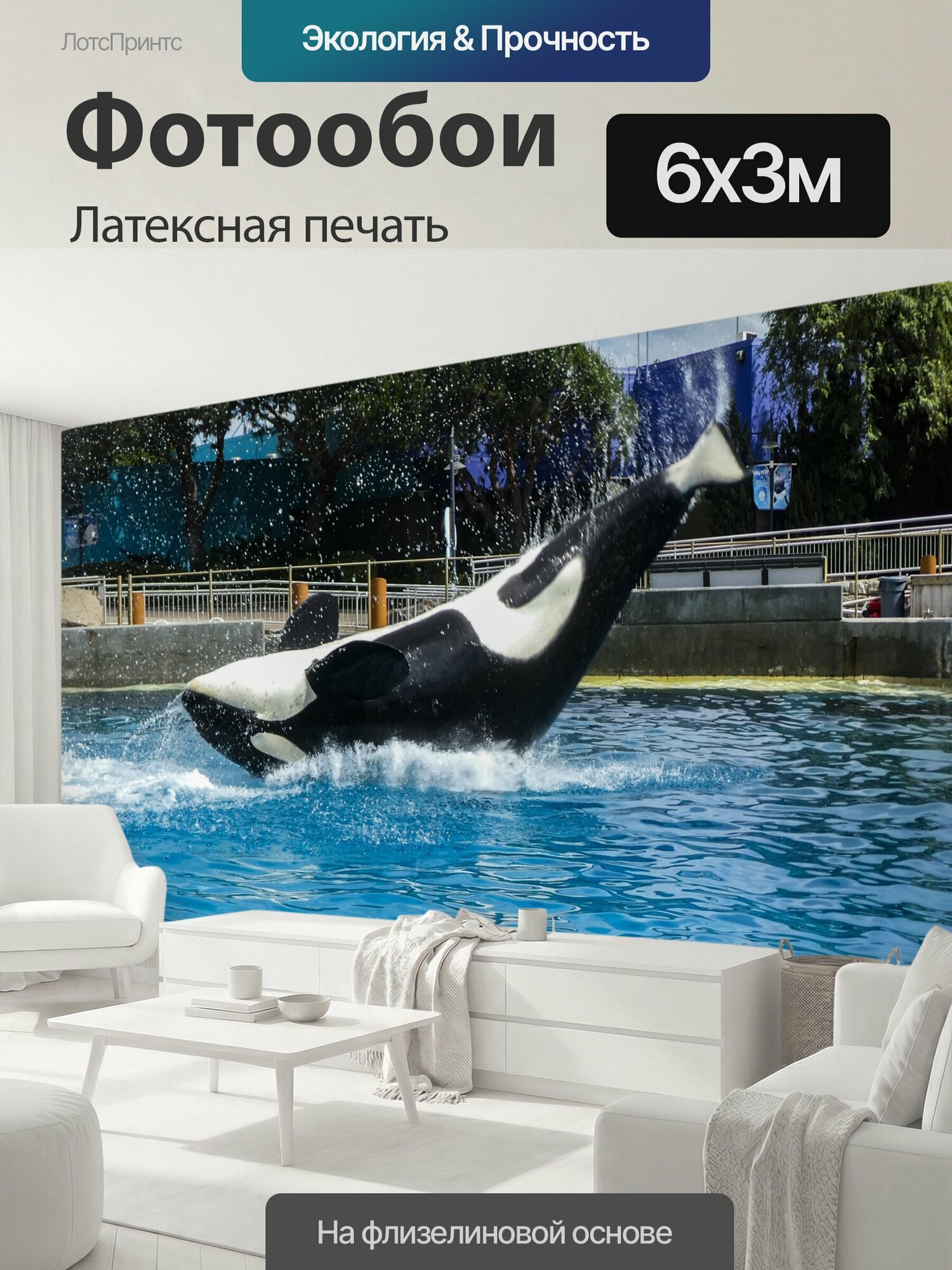Фотообои моющиеся ударопрочные "Касатка черно-белый ORCA-кит в Sea World, Сан-Диего, Калифорния, делает флип кит киты черный белый кит орка сан." 600x300 см. латексная печать