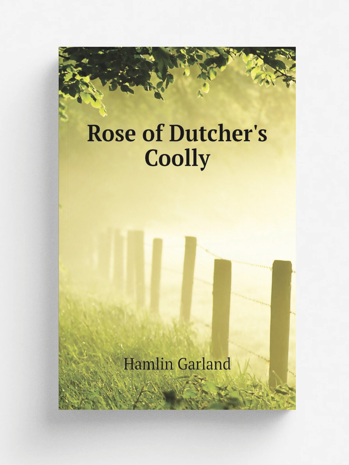 Rose of Dutcher's Coolly | Hamlin Garland | Репринт