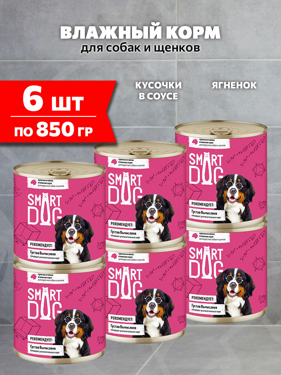 Корм влажный Smart Dog для собак и щенков, кусочки, ягненок в соусе, 850 г 6 шт