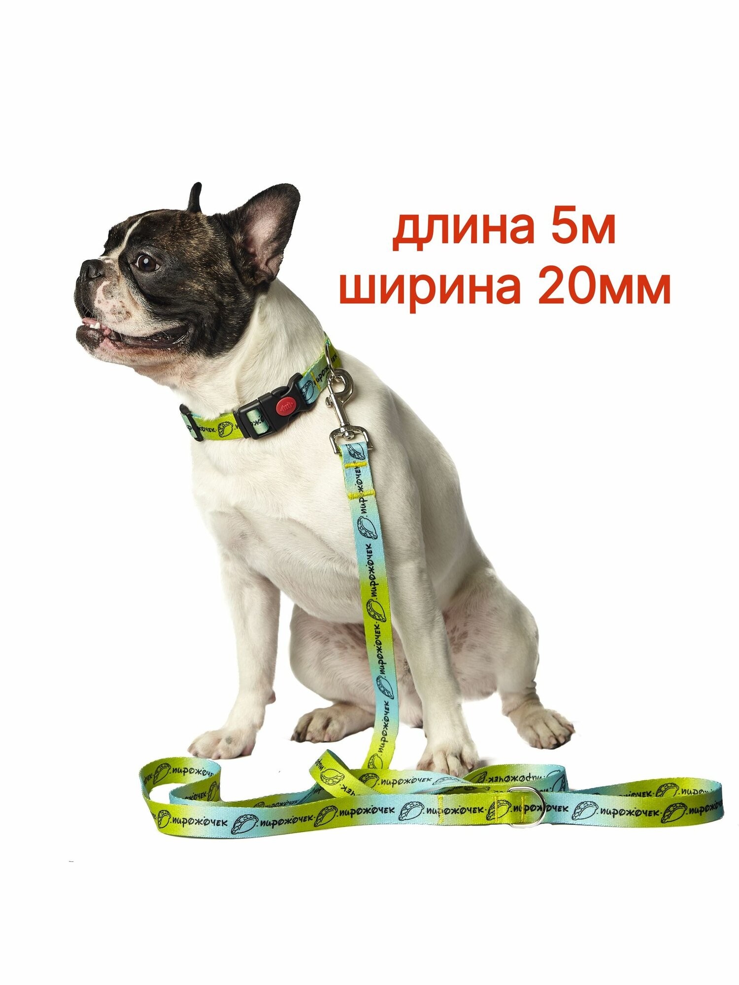 Поводок "Пирожочек", ширина 20мм, длина 5 метров