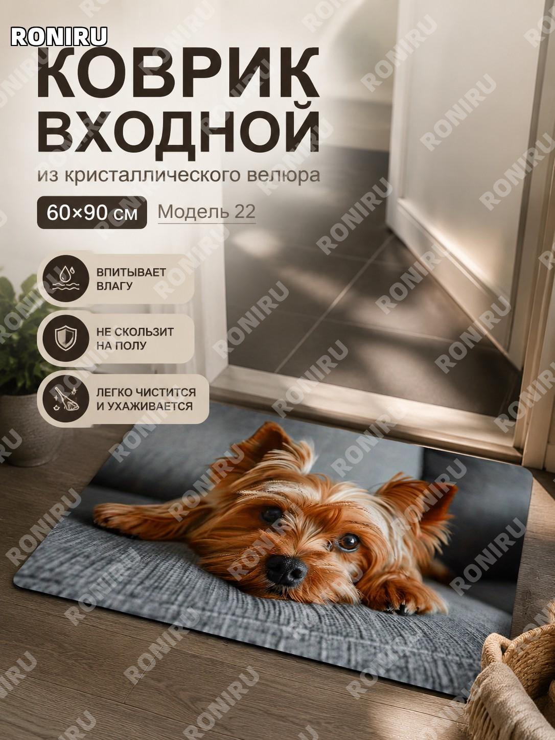 Коврик для входной двери 60×90 см из полиэстера, вариант 22, напольный коврик с покрытием под диатомовую грязь
