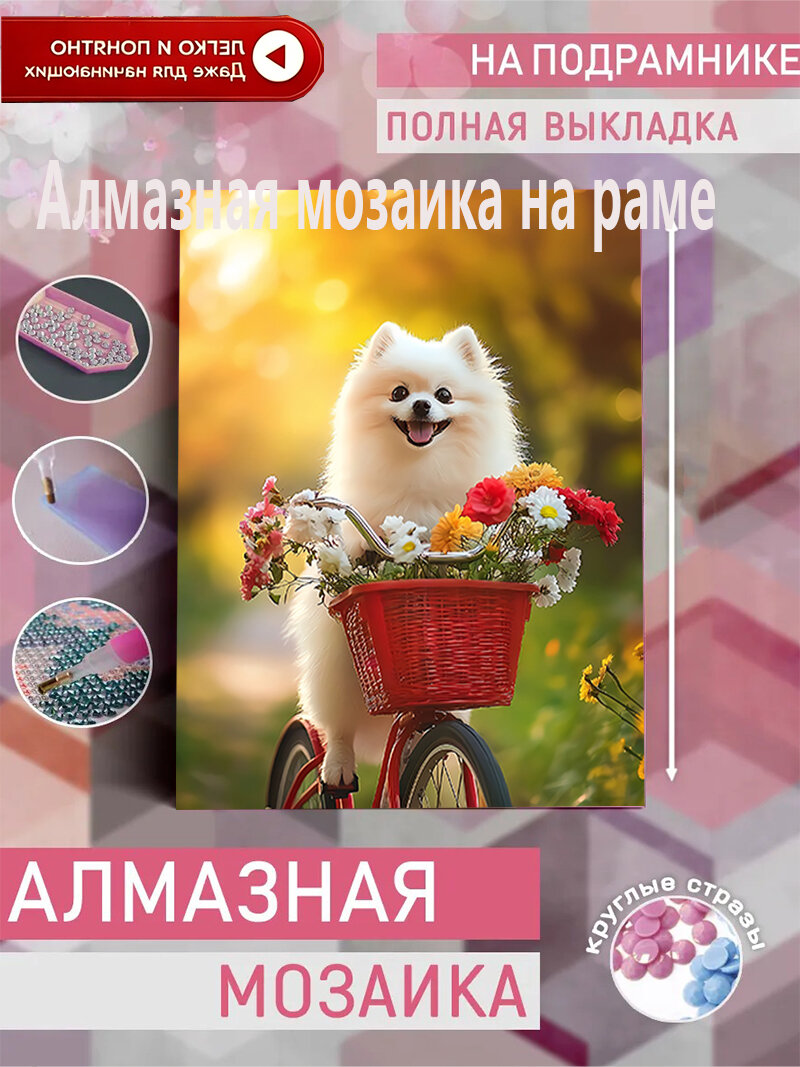 Алмазная мозаика, круглые стразы, деревянная рама, Радостный шпиц на велосипеде с цветами20X30см, набор для ручного творчества, домашний декор