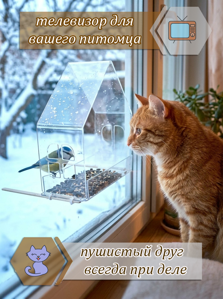 Прозрачная кормушка на окно для диких птиц малышка
