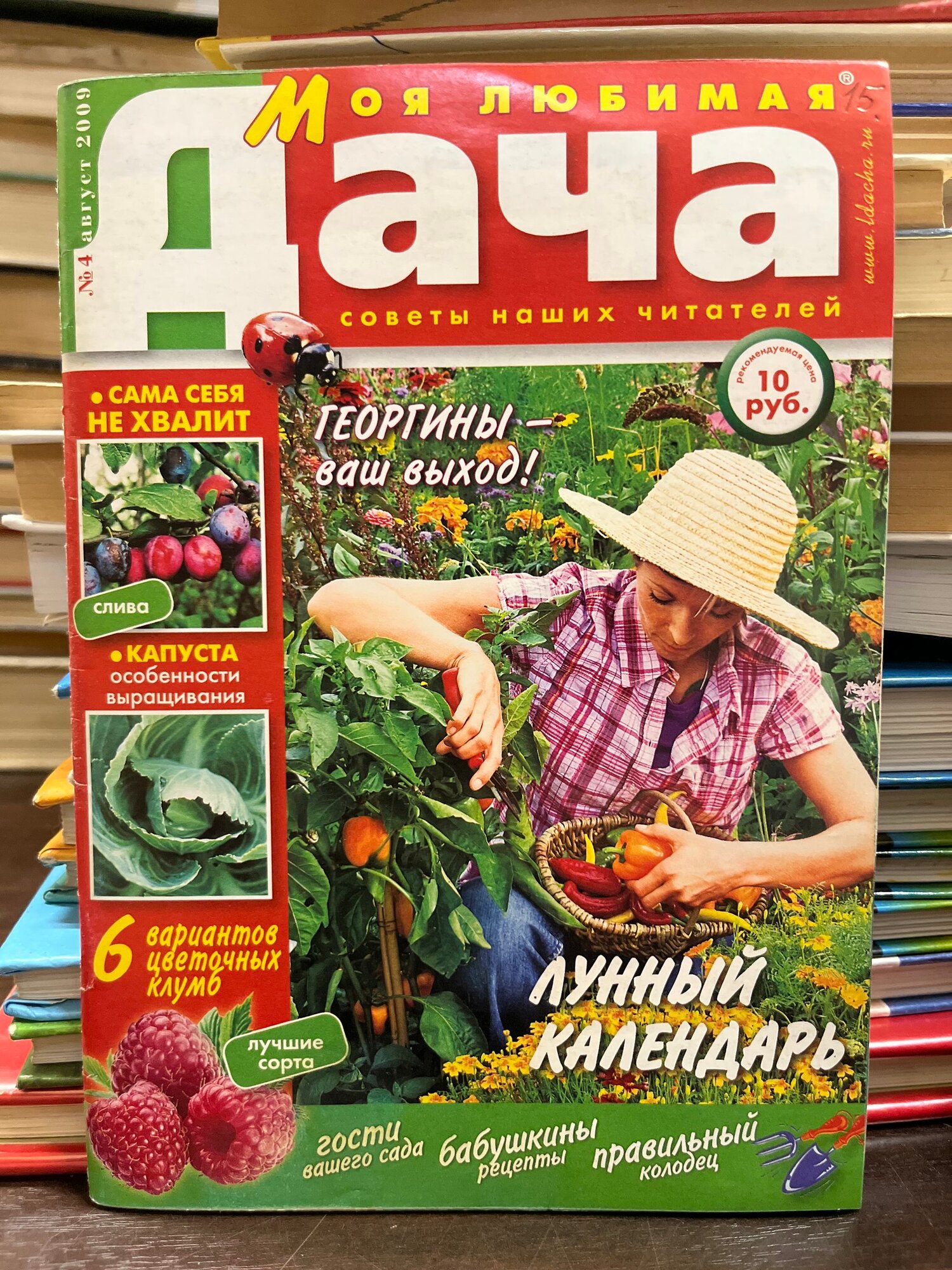 Моя любимая дача