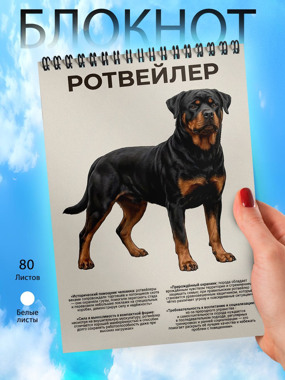 Блокнот А6 - Ротвейлер
