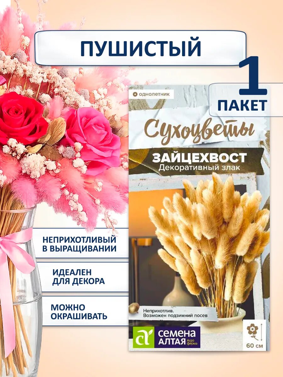 Семена цветов сухоцветов Зайцехвост Декоративный злак -1 шт
