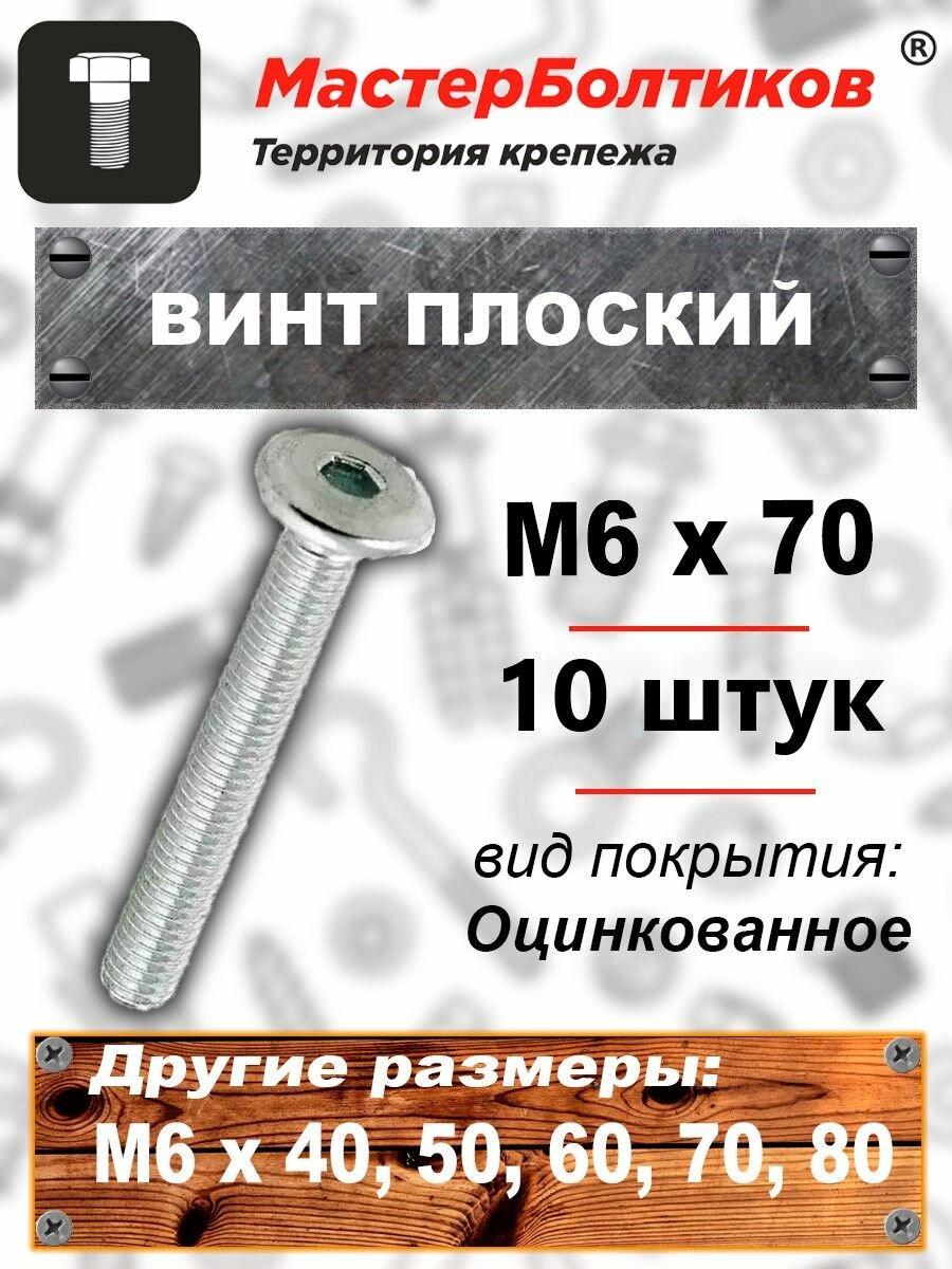 Винт плоский с внутренним шестигранником оцинкованный М6х70 (10 шт)