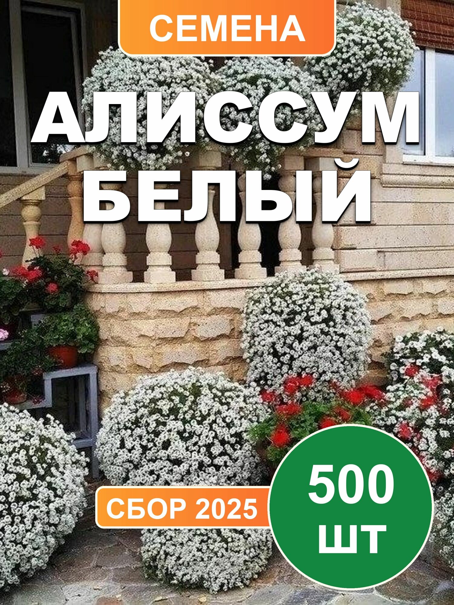 Алиссум белый, семена, 500шт