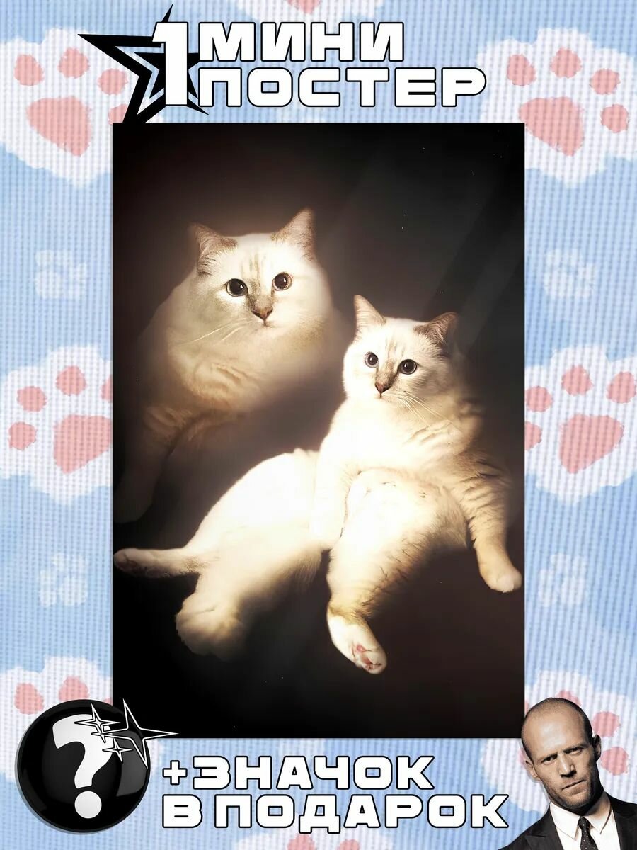Мини постеры Котики