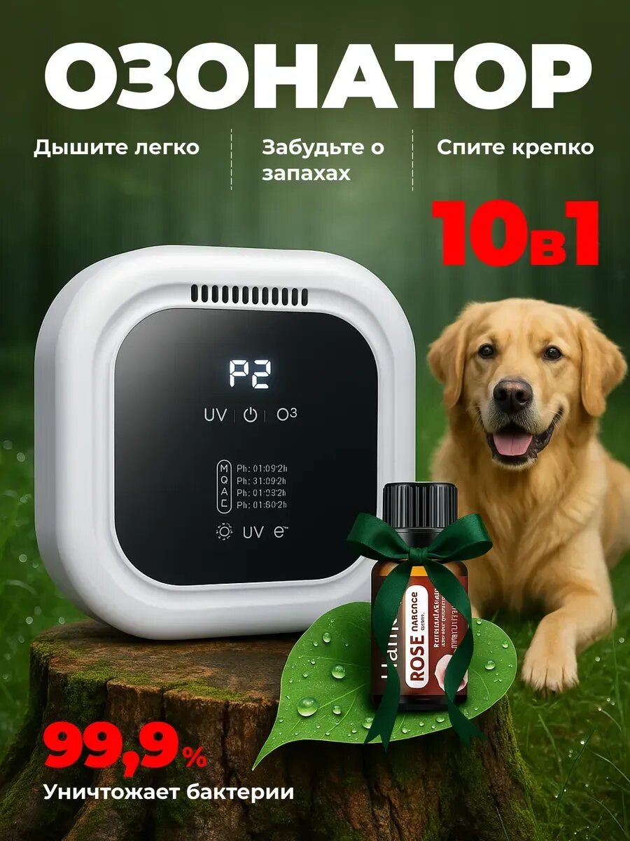 Озоновый очиститель воздуха для дома, белый, автономный, тихий, до 40 м2