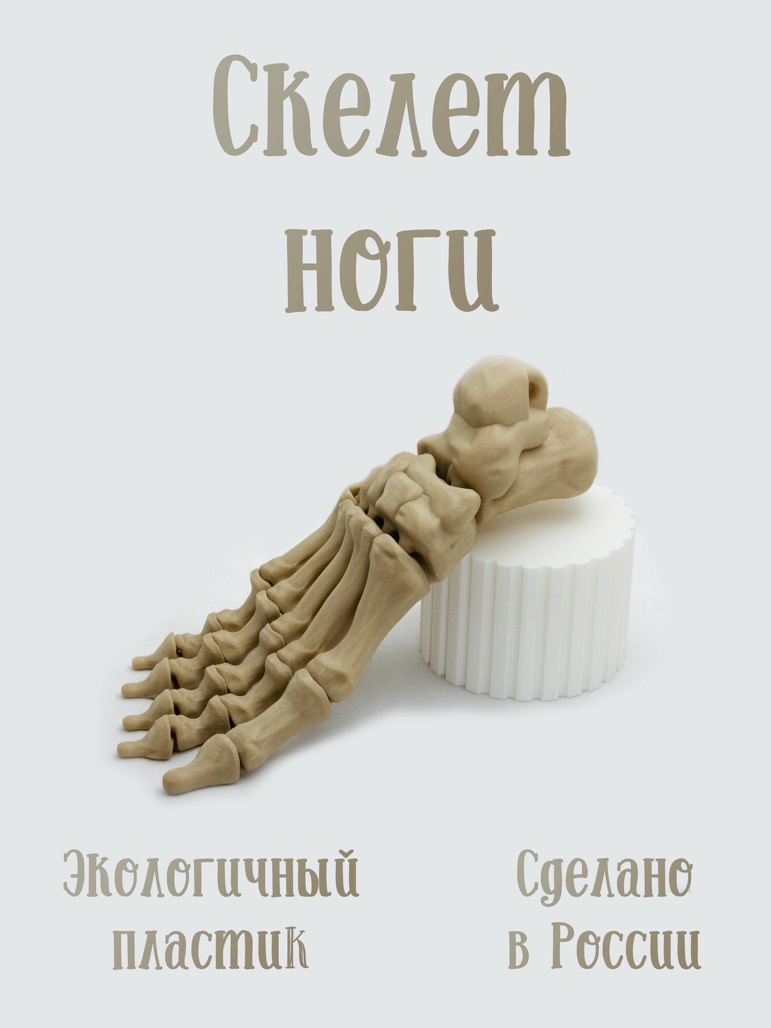 Скелет правой ноги человека 3D слоновая кость, подвижный, декоративный