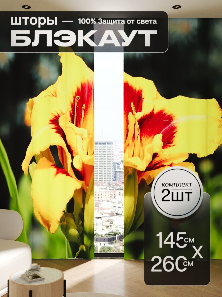 Шторы блэкаут 145x260 см 2 шт на окна плотные комплект