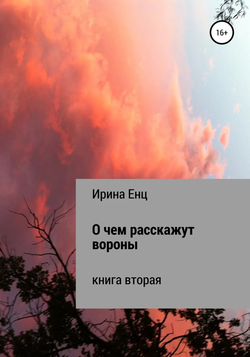 О чем расскажут вороны [Цифровая книга]