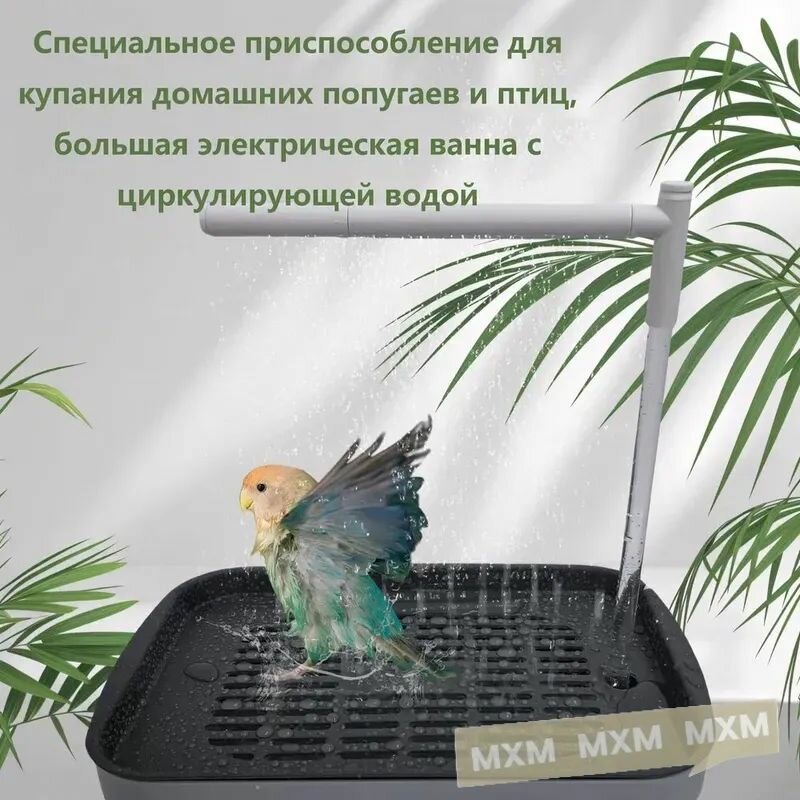 Душ для попугая-Специальное приспособление для купания домашних попугаев и птиц, Бесшумный, Регулируемая скорость потока-маленький
