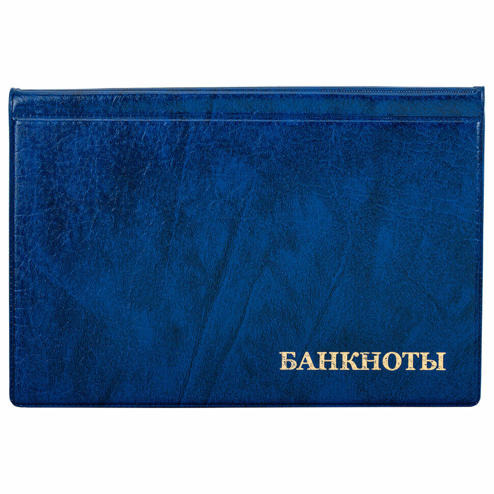 Альбом нумизмата для 24 бон (купюр), 125х185 мм, ПВХ, синий, STAFF, 238079, 238079