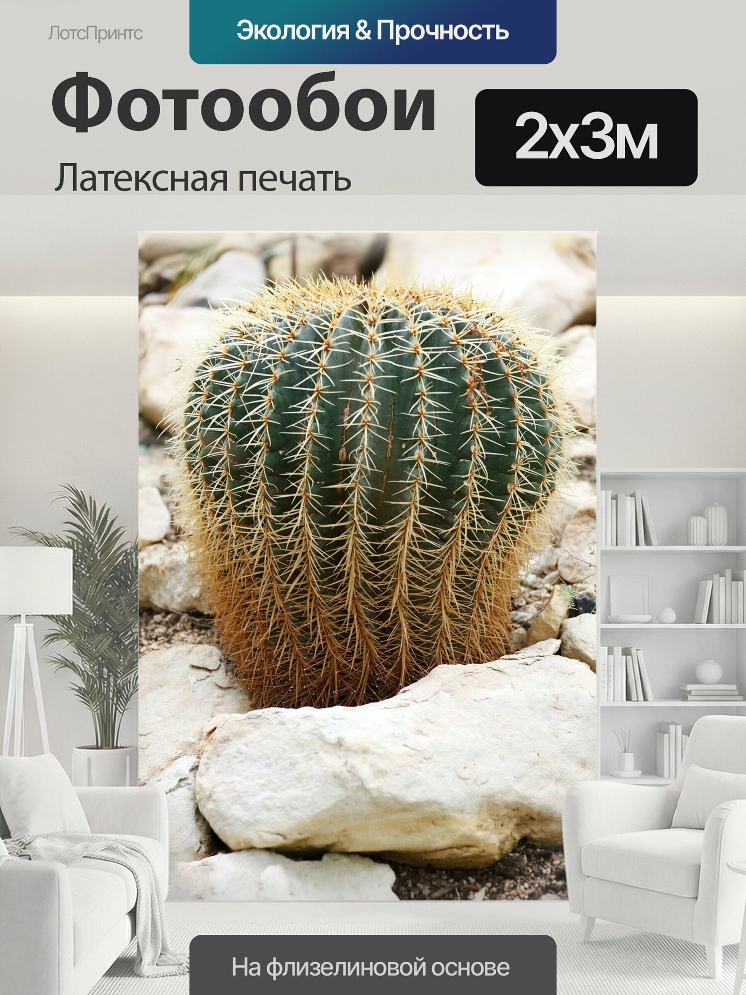 Фотообои моющиеся ударопрочные "Ботанический, ботаника, кактусы" 200x300 см. латексная печать