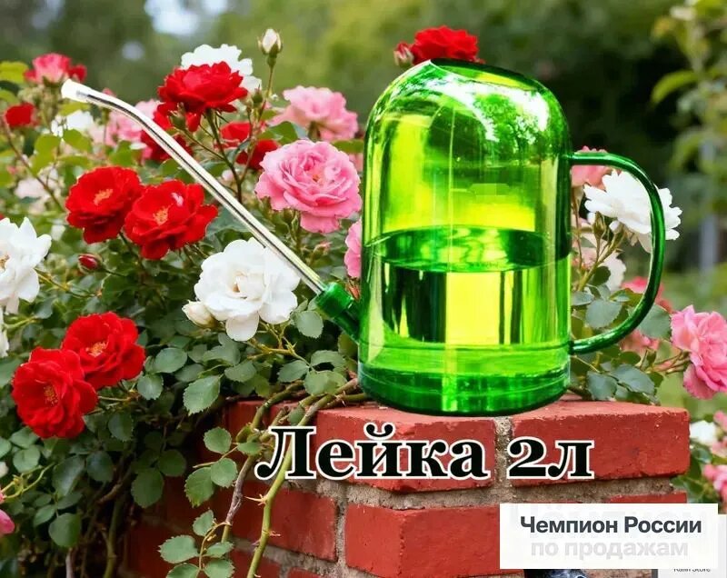 Лейка, 2 л 1 шт