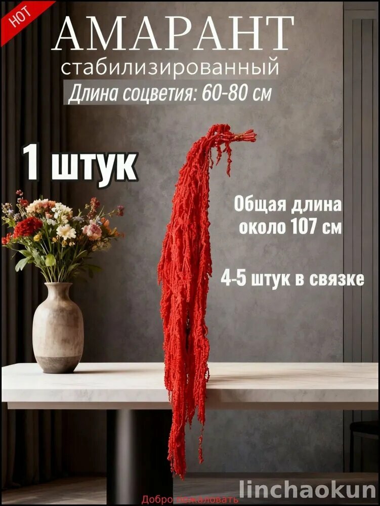 Стабилизированные цветы Амарант, 80 см, 300 гр, 1 шт
