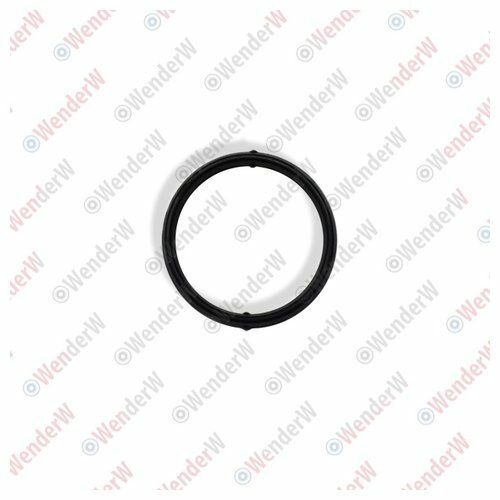 Прокладка масляного насоса FORD C-MAX (03-11) WENDERW WEPR0497