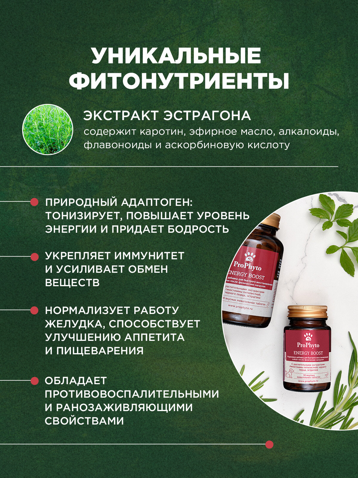 Добавка пищевая ProPhyto для взрослых собак для поддержания энергии Энерджи Буст, 100 таблеток — фото 1