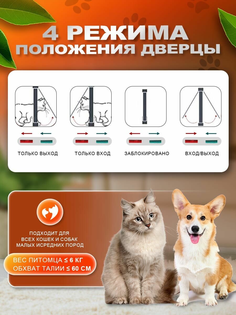 Дверца для кошек / Дверца для животных / Лаз для питомцев, Размер S, черный,19.7*19*2cm