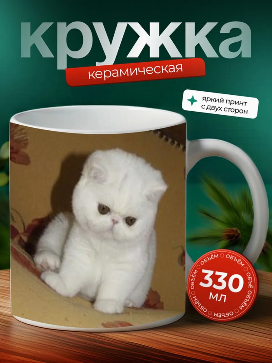 Кружка Экзотическая короткошерстная кошка 47,