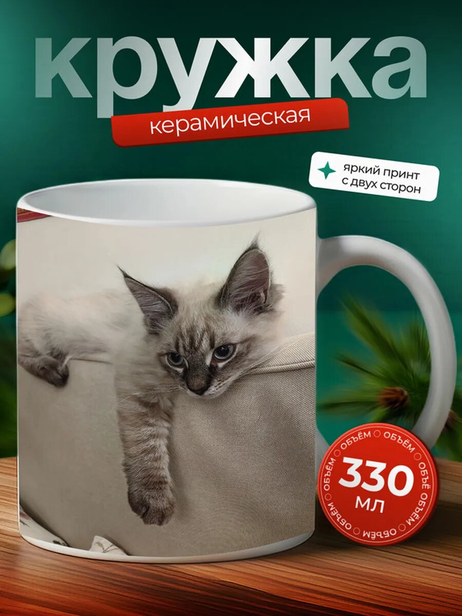 Кружка Белуджистанский пушистик кот 36,