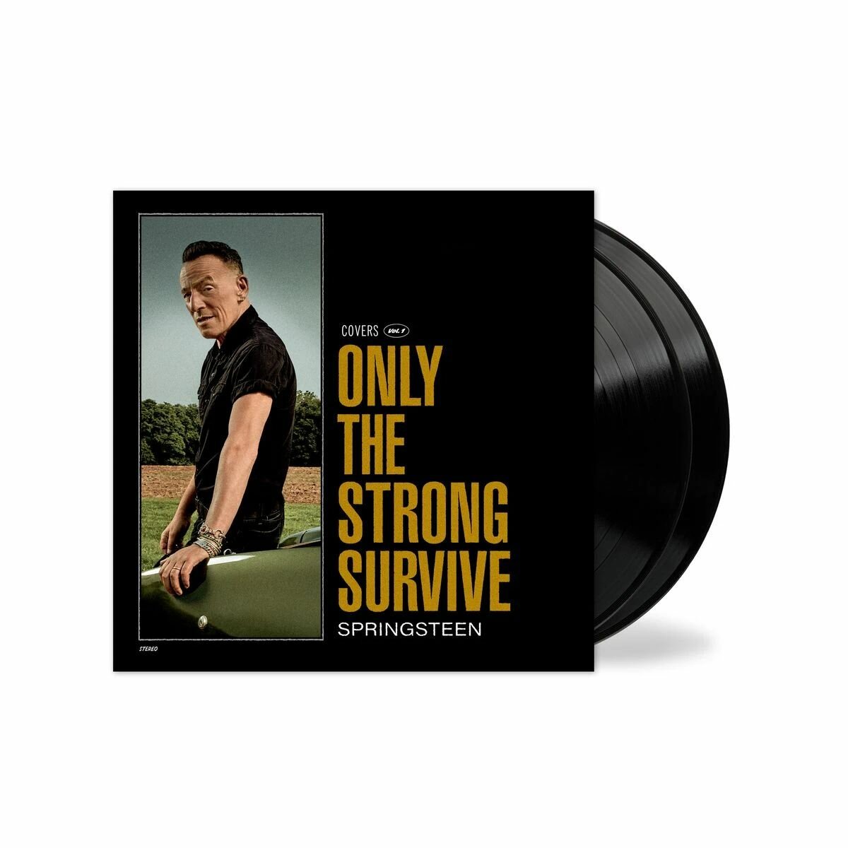 Bruce Springsteen: Only The Strong Survive (2LP), 2022, Columbia, Виниловая пластинка