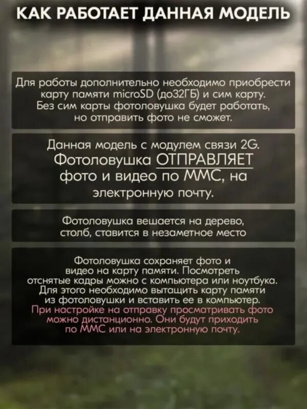 Фотоловушка — фото 1