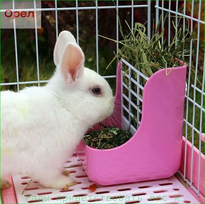 Кормушка для животных