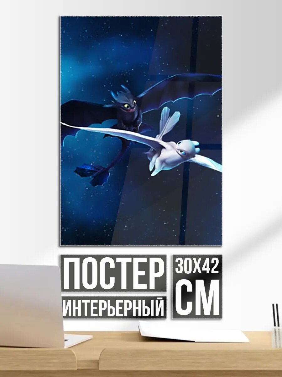 Постер на стену Light and Night Fury