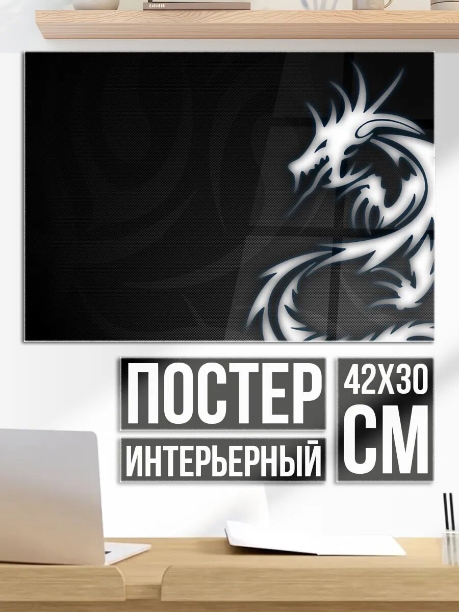 Плакат постер Белый дракон арт