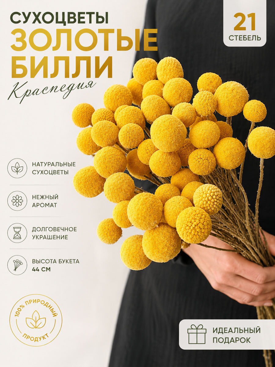 21 шт Краспедия натуральная, сухоцветы для декора, 44cm Высота