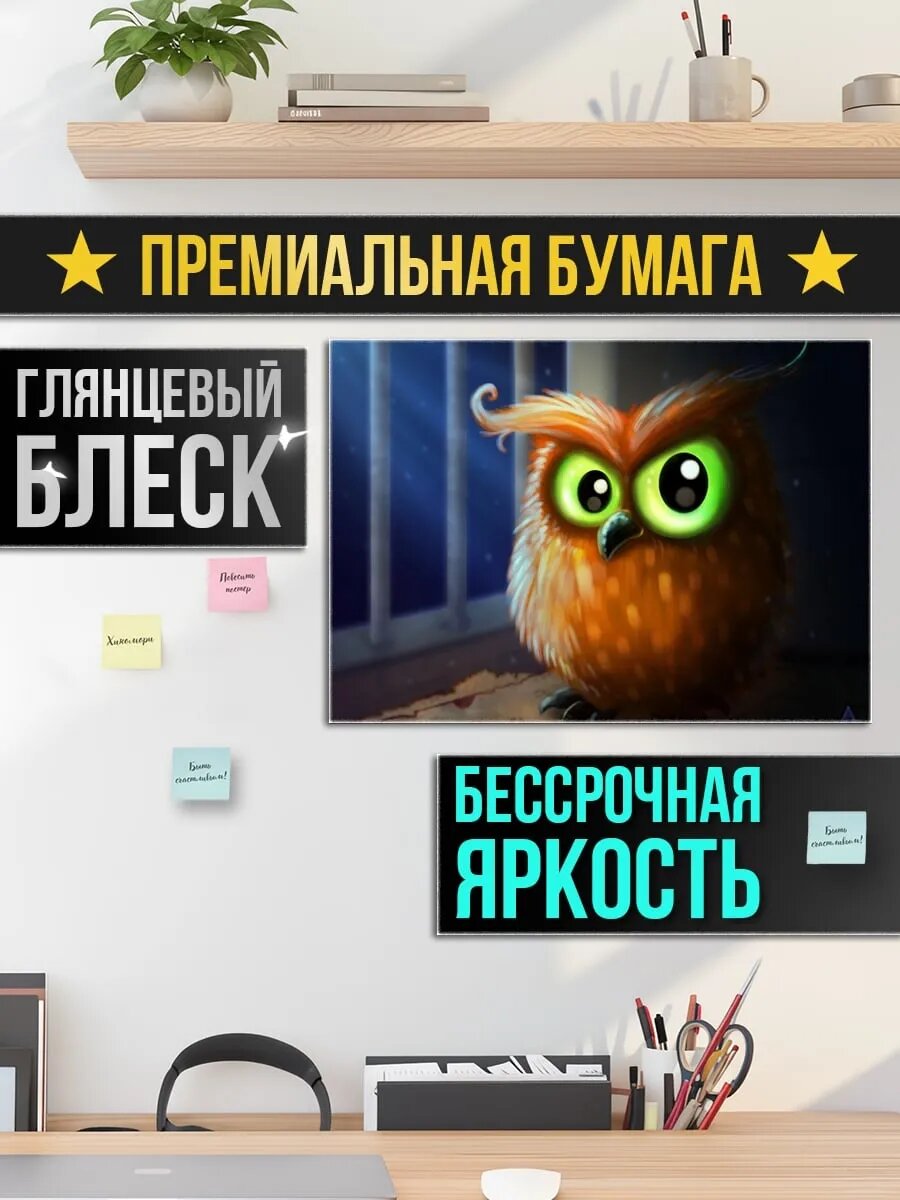 Плакат постер Сова с зелеными глазами — фото 1