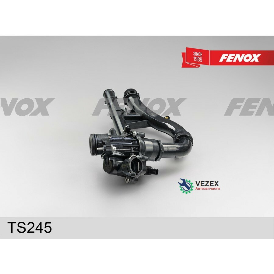 FENOX TS245 Термостат