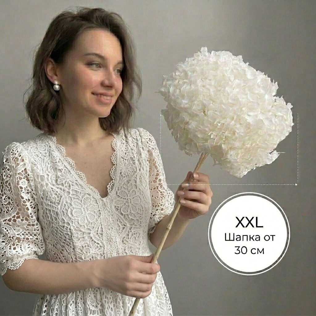 Гортензия стабилизированная белая, сухоцвет для декора, 60 см