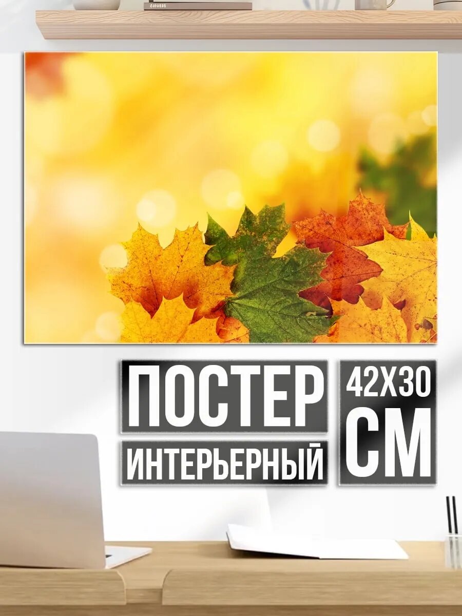 Плакат постер Осенние листья крупным планом
