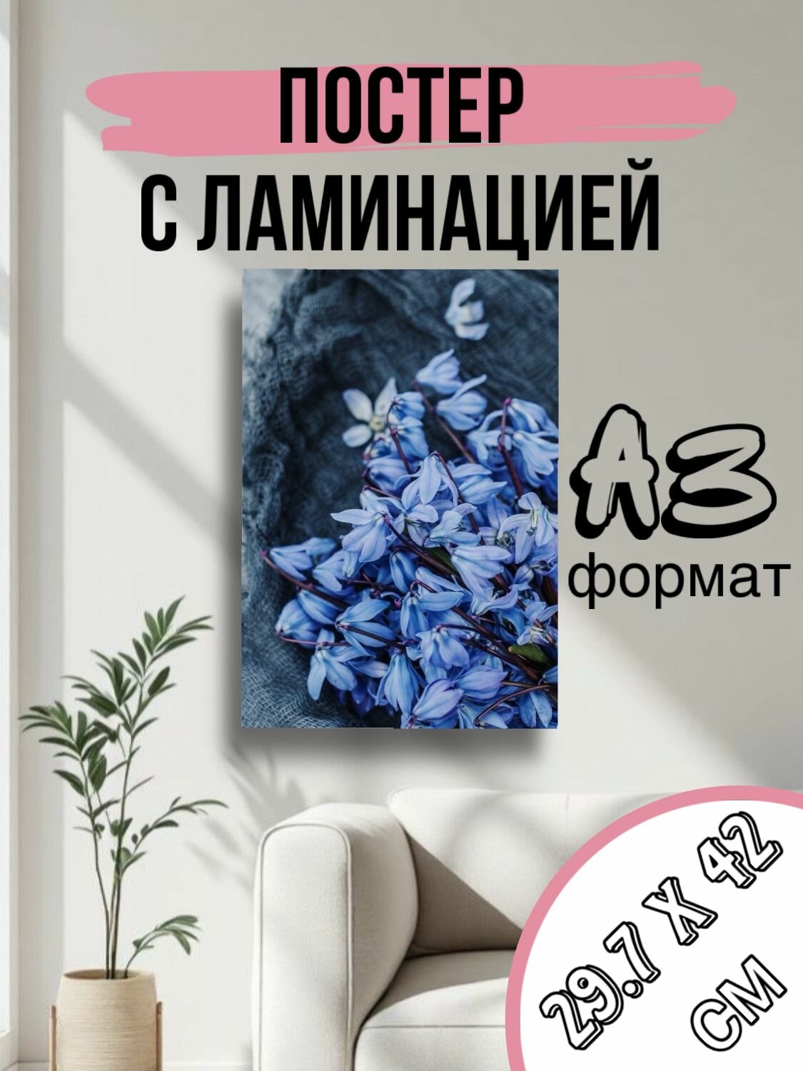 Постер