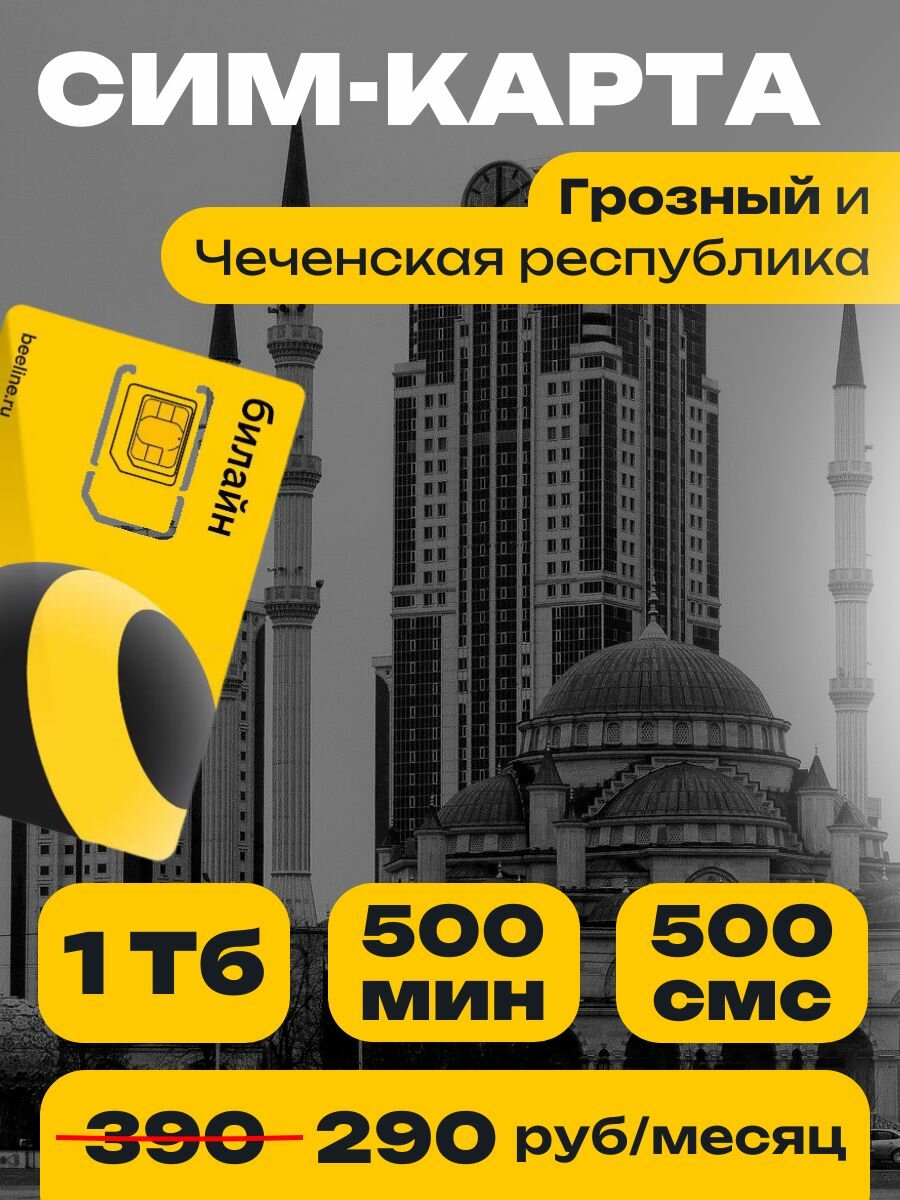 Сим-карта Билайн тариф Эксклюзивный Чеченская республика 1024 Гб + 500 минут за 290 руб.