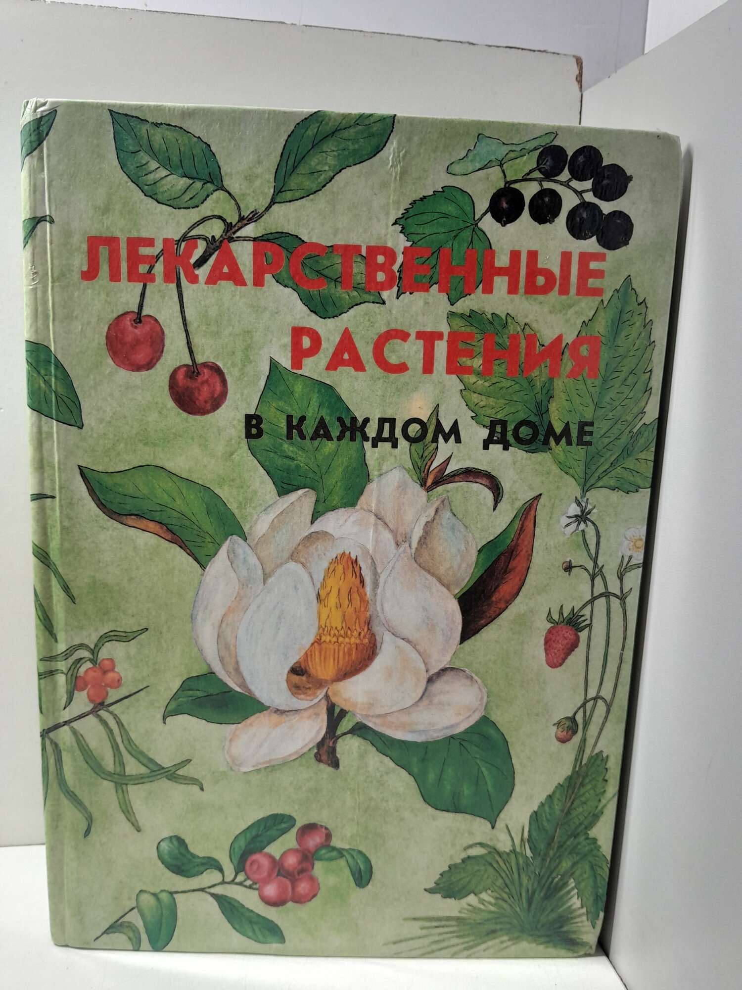 Лекарственные растения в каждом доме / Меньшикова Зарият, Меньшикова Ирина