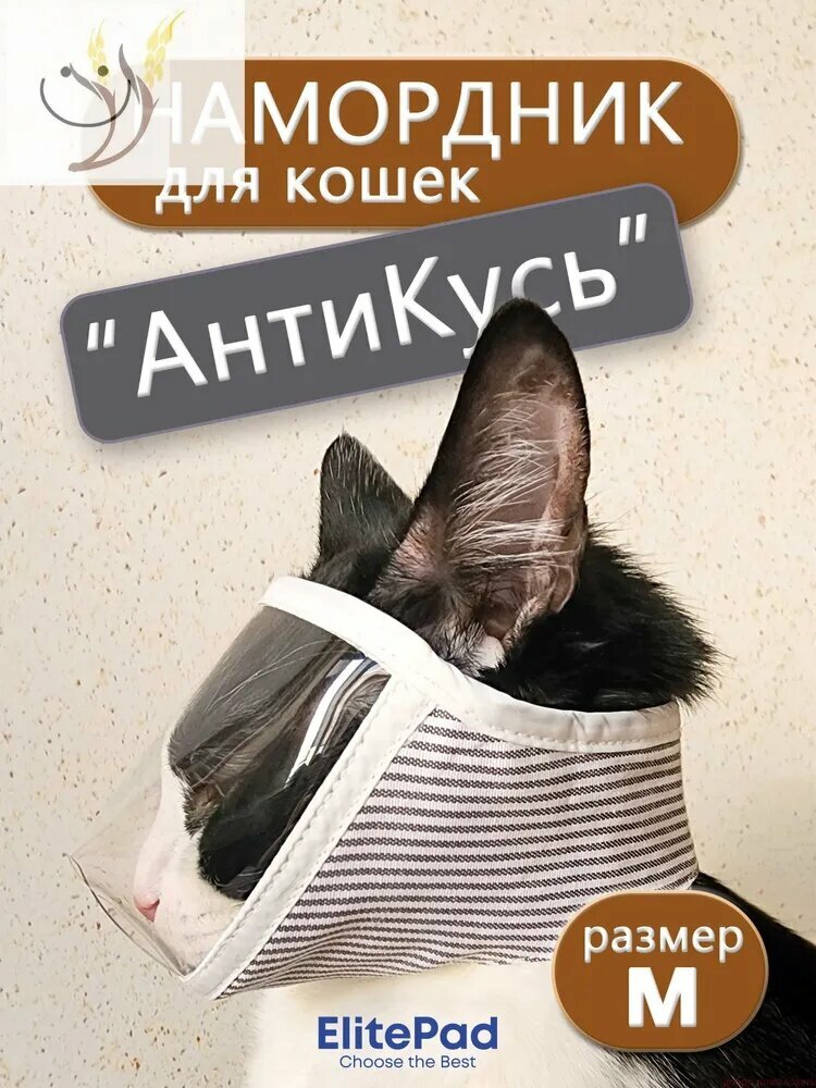 Намордник