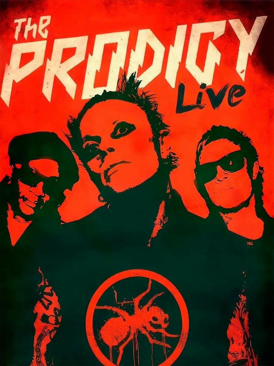 Постер для интерьера на стену (40х50 см). The Prodigy