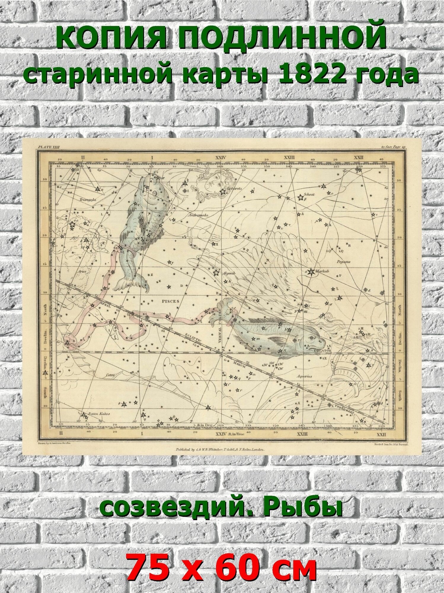 Старинная Карта созвездий. Рыбы. (репринт карты 1822 года).