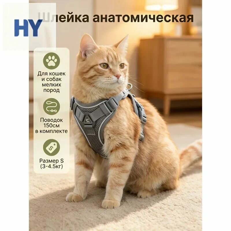 Шлейки для собак и кошек