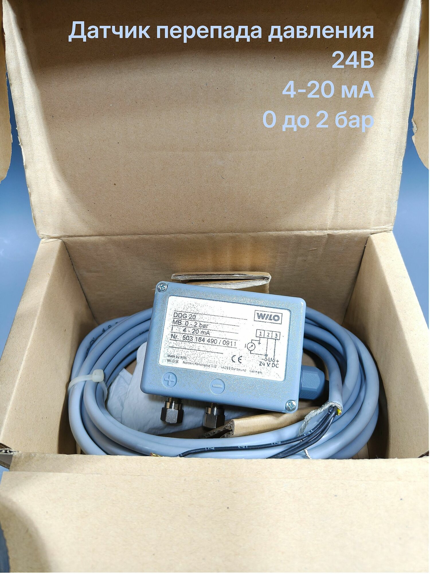 DDG20 - Wilo - 503184490 - Датчик давления
