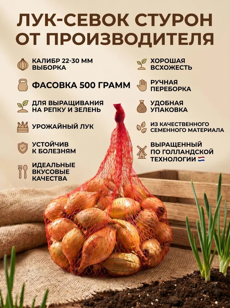 Лук севок Стурон выборок 0,5 кг (калибр 22-30 мм)