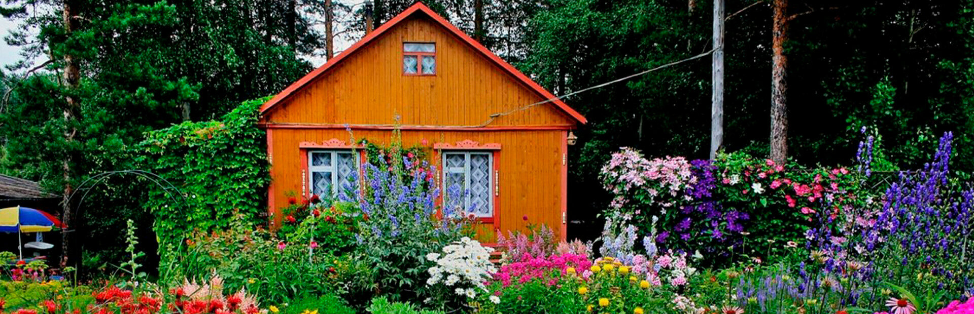 DACHA, Все страны